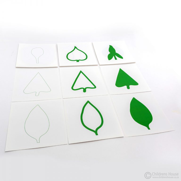 The Leaf Puzzle - Childrens House - learn the components of a leaf