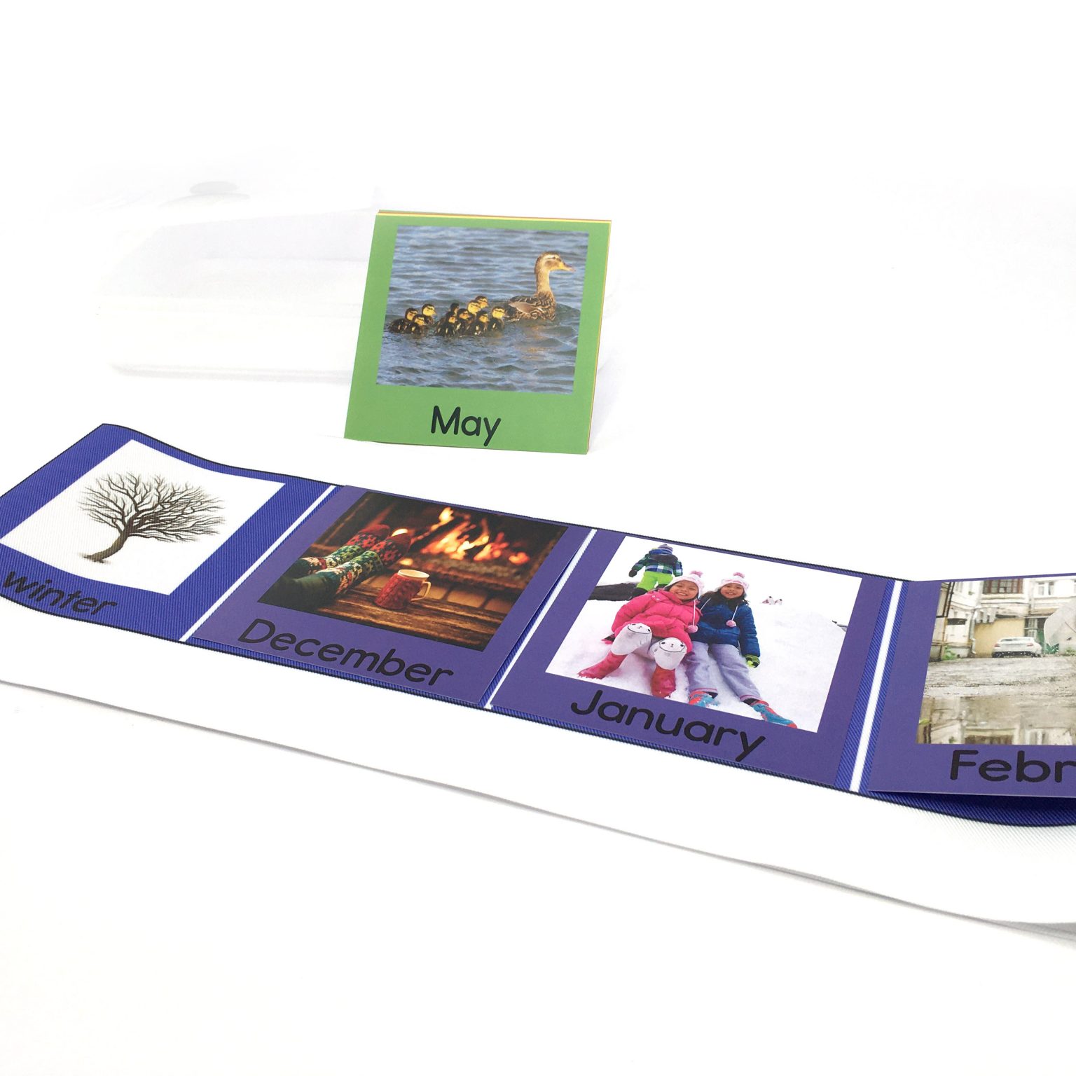 Timeline of the Seasons - Northern Hemisphere - Childrens House - English