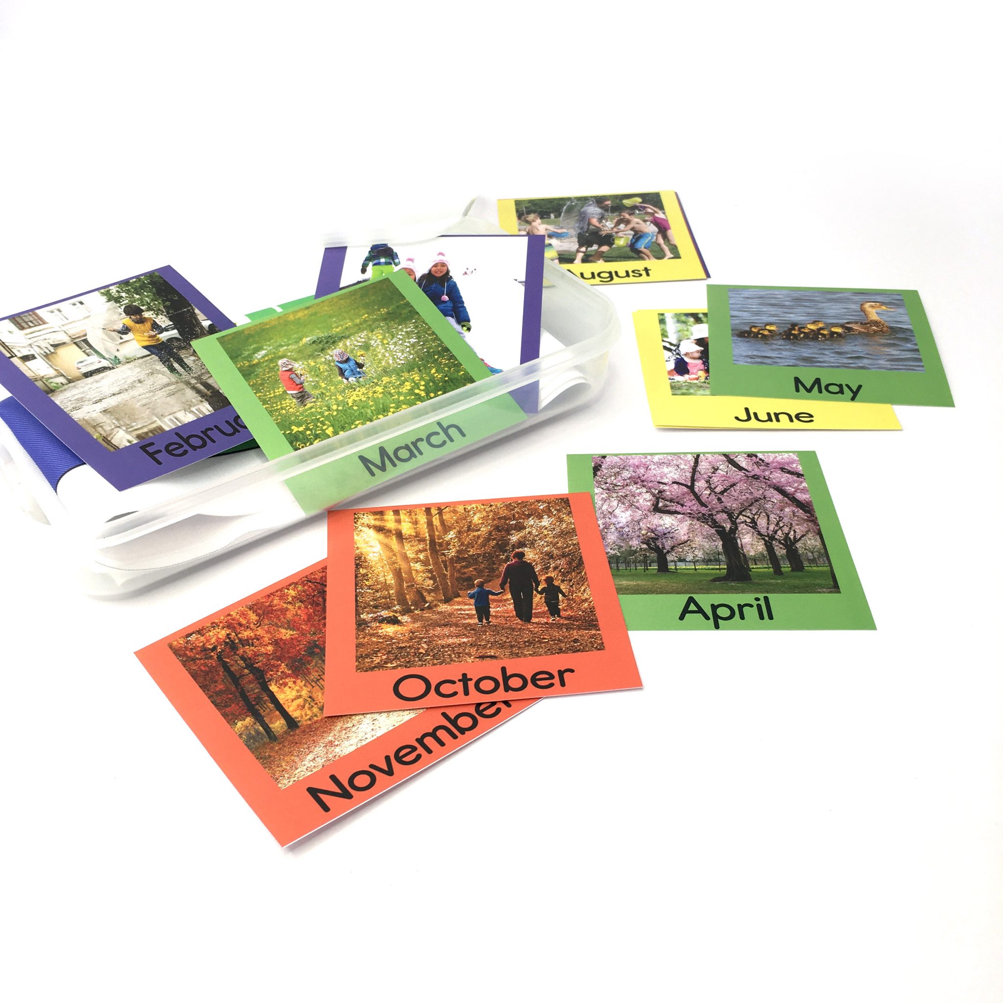 Timeline of the Seasons - Northern Hemisphere - Childrens House - English