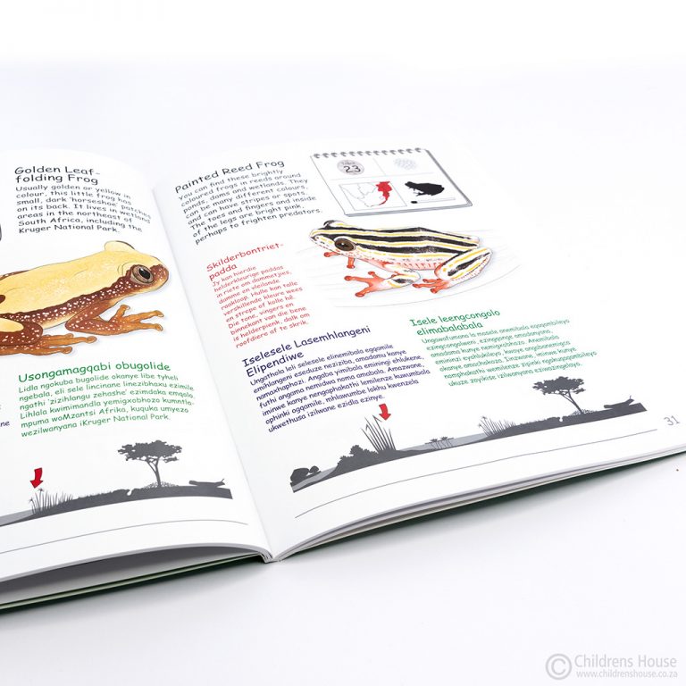 My First Book of Southern African Frogs - Childrens House - frog sounds