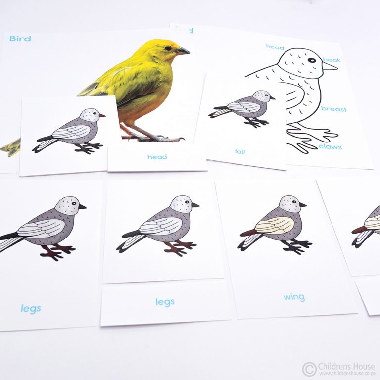 Bird Puzzle Activity - Childrens House Montessori Materials - name the ...