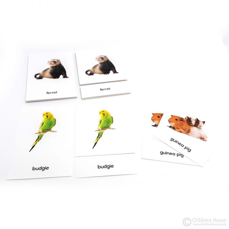 Household Pets 3 Part Cards - Childrens House - expand your vocabulary