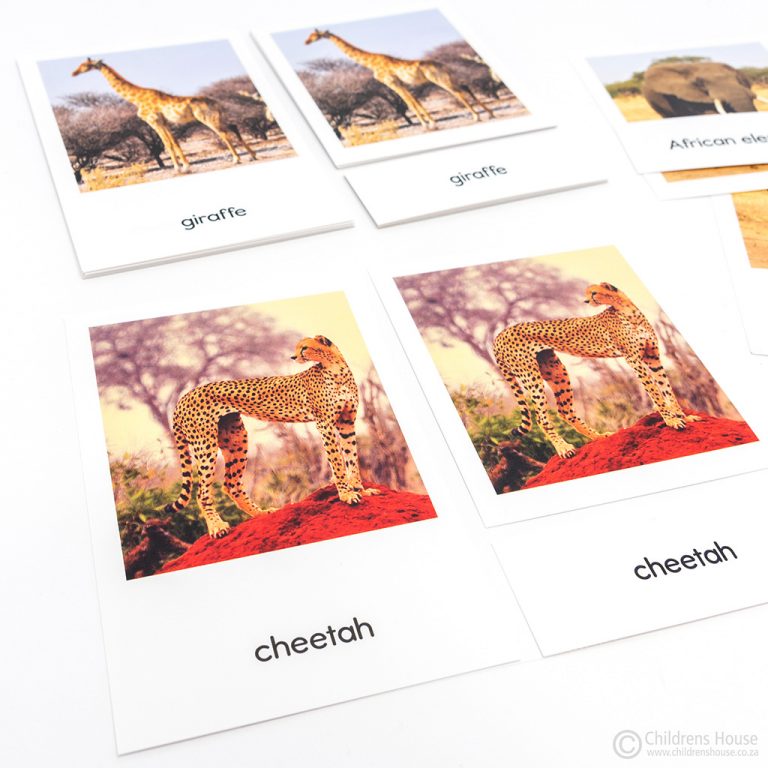 African Mammals - 3 Part Cards - Childrens House Montessori Materials ...