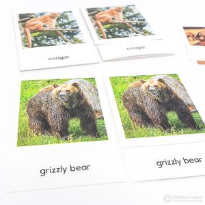 North American Mammals - 3 Part Cards - Childrens House - read them all