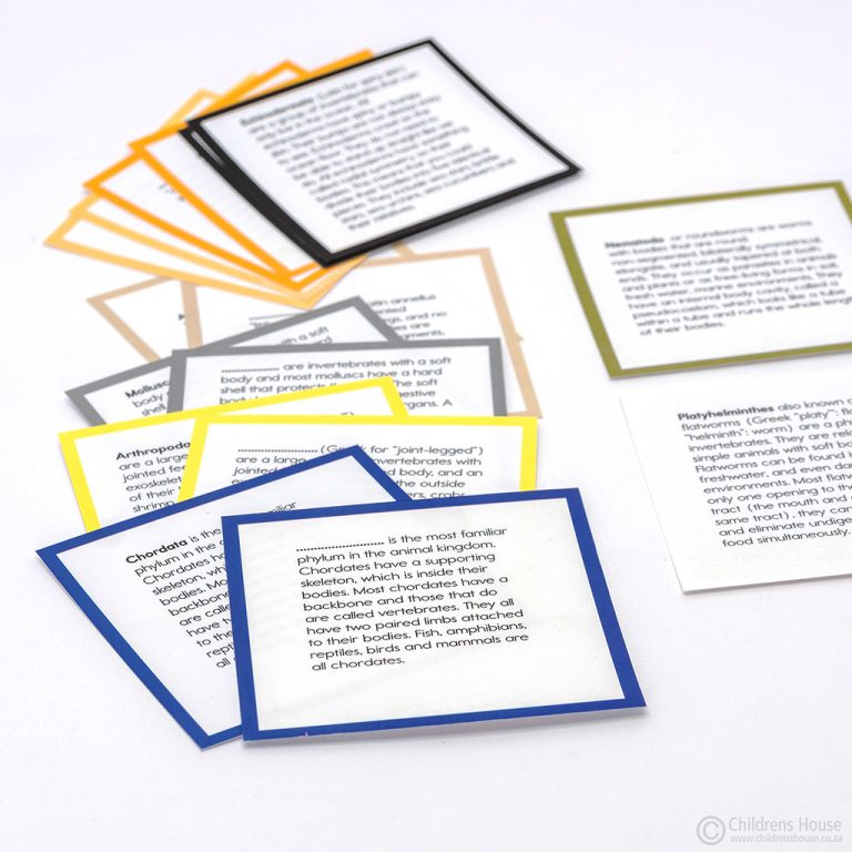 Animal Kingdom Phyla Activity - Childrens House - classification of animals