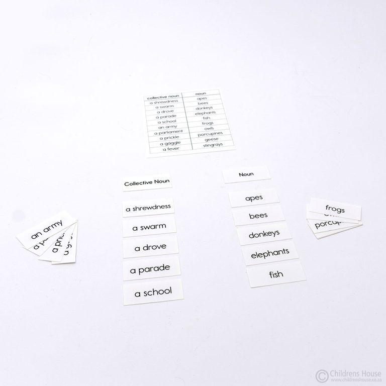 Animal Collective Nouns - Childrens House - sort under headings