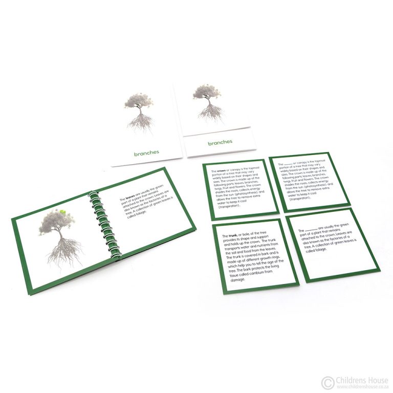 The Leaf Puzzle - Childrens House Montessori Materials - learn the ...