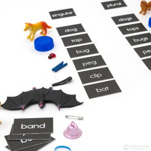 Singular and Plural Box 1 - Childrens House - teach the concept of more