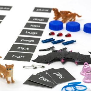 Singular and Plural Box 1 - Childrens House - teach the concept of more