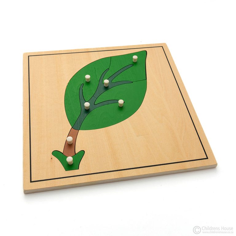 The Leaf Puzzle - Childrens House - learn the components of a leaf