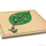 The Leaf Puzzle - Childrens House - learn the components of a leaf