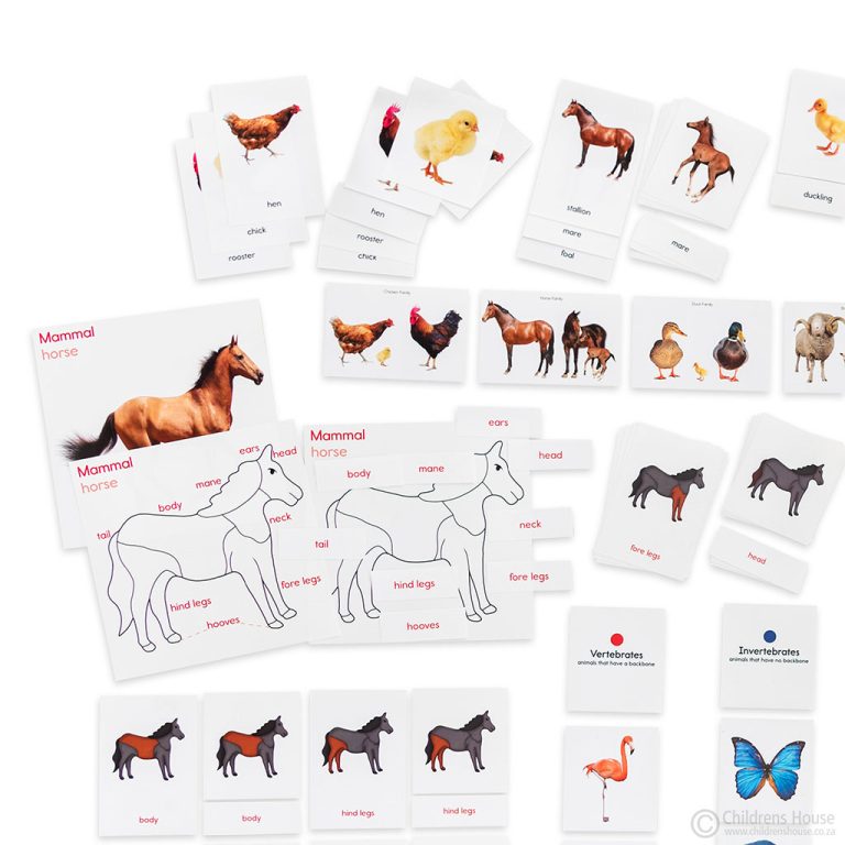 Early Zoology Activity Bundle - Childrens House - sorting and matching