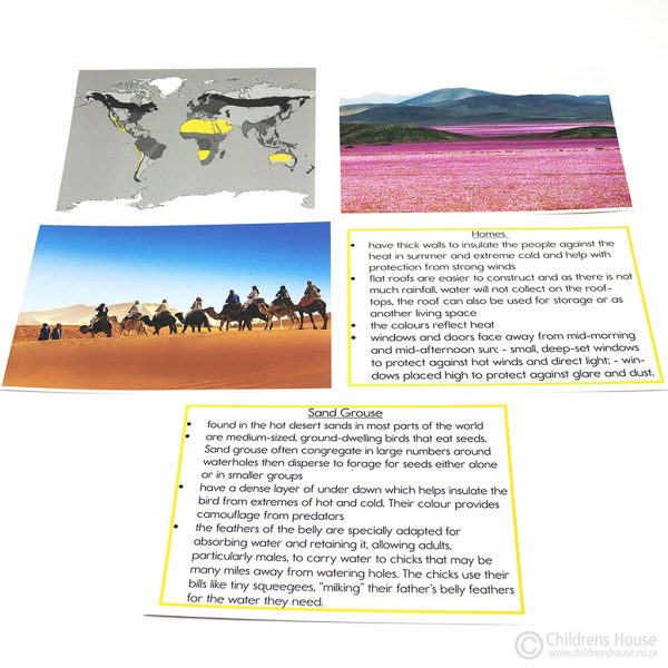 Desert Biome Folder - Childrens House