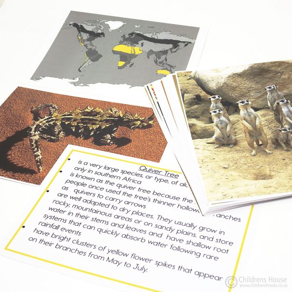Desert Biome Folder - Childrens House Montessori Materials