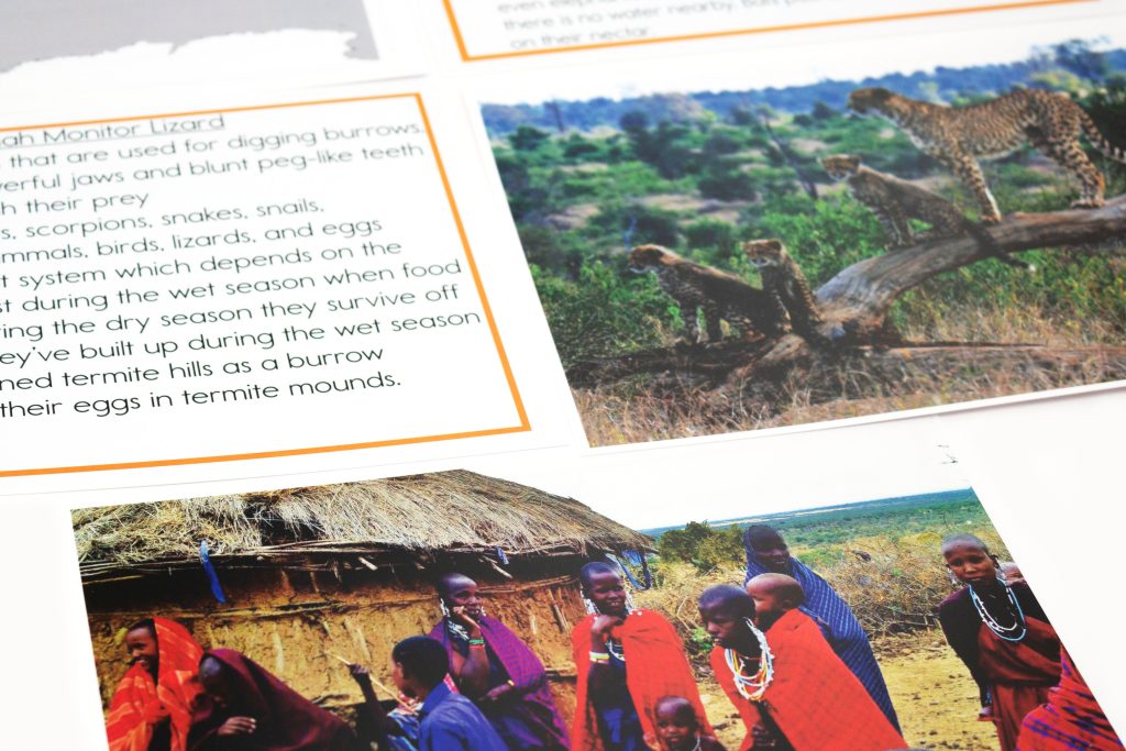 Savanna Biome Folder - Childrens House