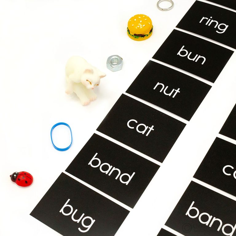 Singular and Plural Box 1 - Childrens House Montessori Materials