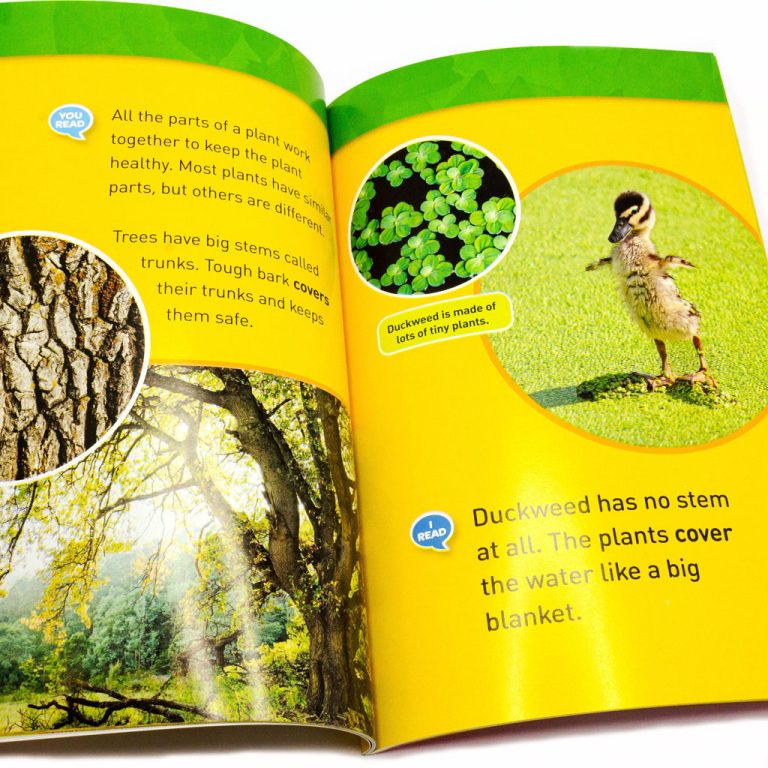 Plants - Co-Reader Level 1 - Childrens House - readers for 4 to 5 yr old